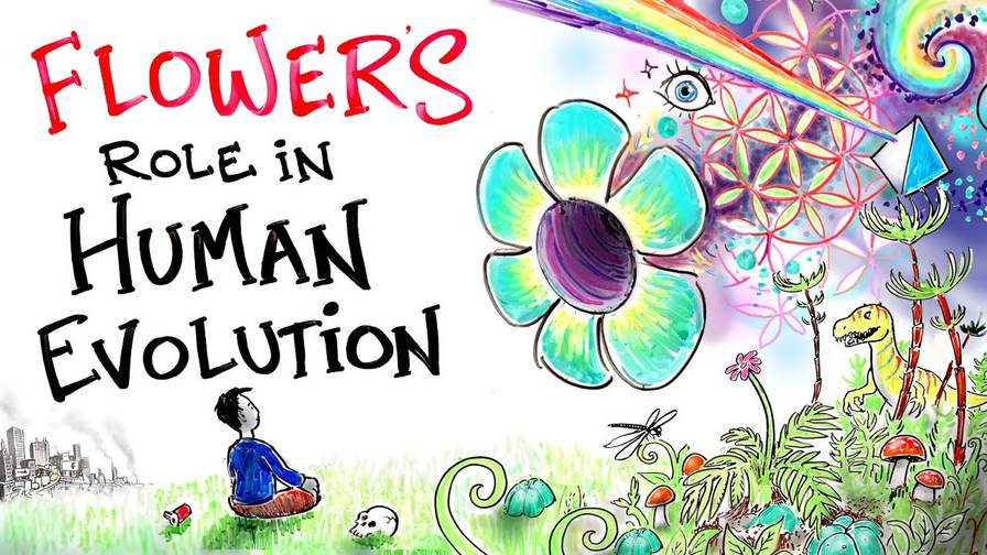 80+ Must-Watch Animated YouTube Channels | Breadnbeyond